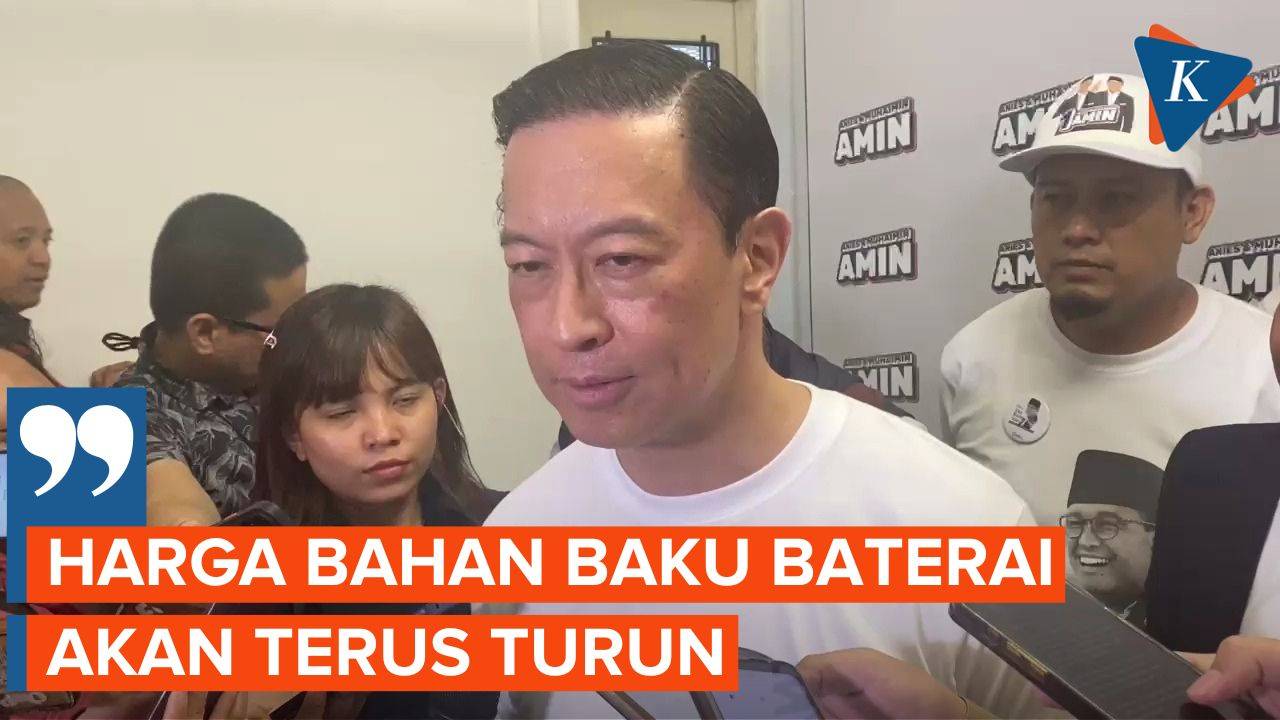 Luhut Sebut Pemerintah Akan Kembangkan LFP dengan China, Tom Lembong: Harga Nikel Akan Turun ...