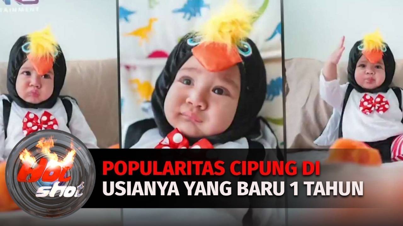 Cipung Kini 1 Tahun, Fans Makin Tercipung-Cipung - Hot Shot
