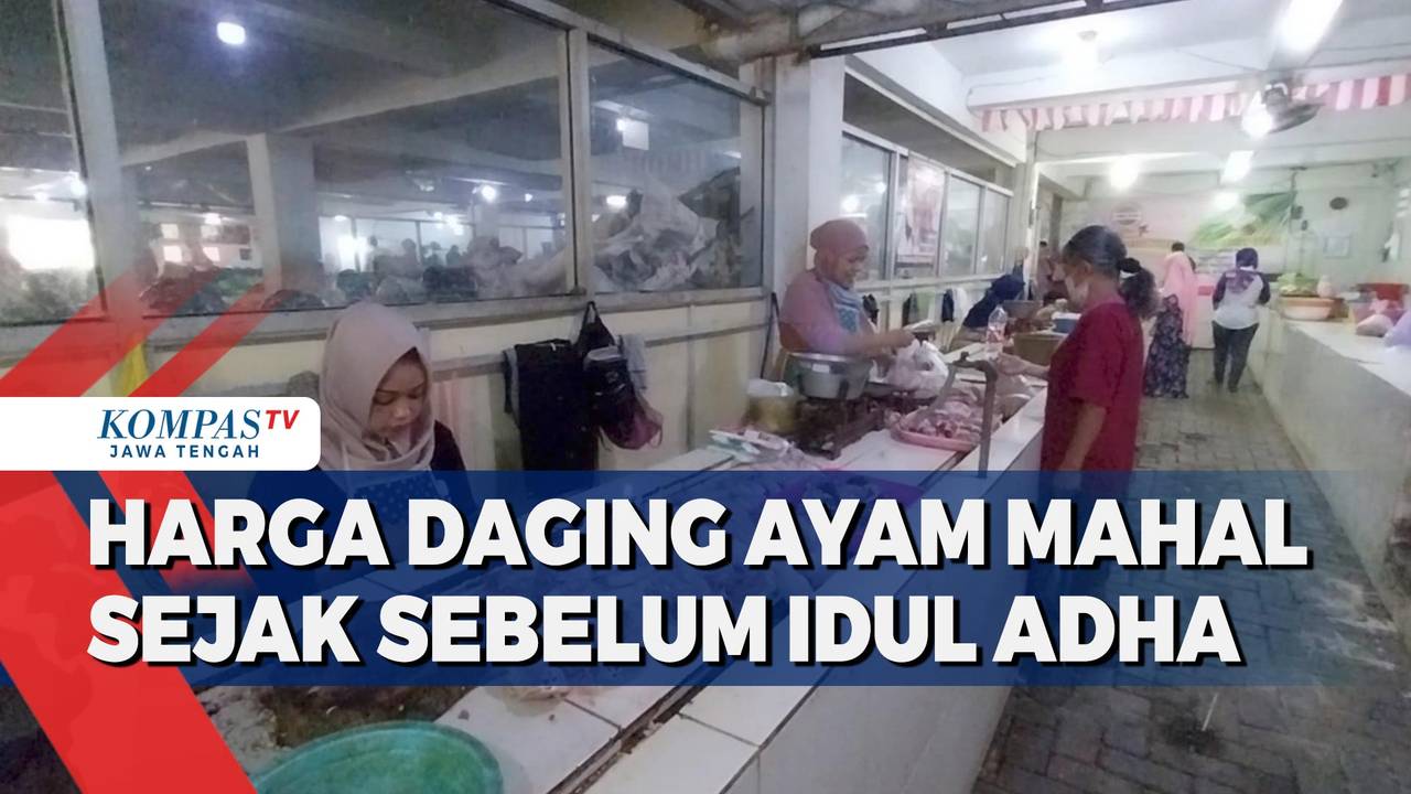 Harga Daging Ayam Mahal Sejak Sebelum Idul Adha - Kompas TV | Vidio