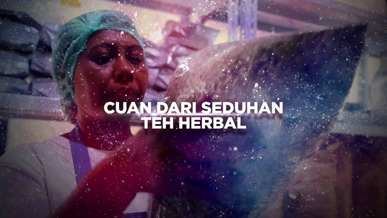 BERANI BERUBAH: Cuan dari Seduhan Teh Herbal - Berani Berubah | Vidio