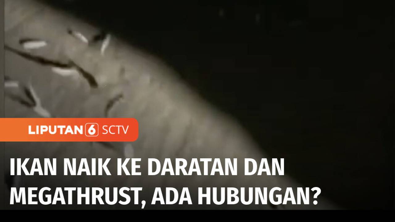 Fenomena Ikan Naik ke Darat Buat Heboh, Ada Hubungannya dengan Tanda ...