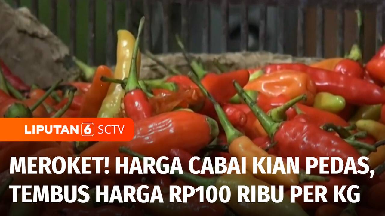 Naik Drastis! Harga Cabai Semakin Pedas, Tembus Rp100 Ribu per Kg | Liputan 6 - SCTV | Vidio