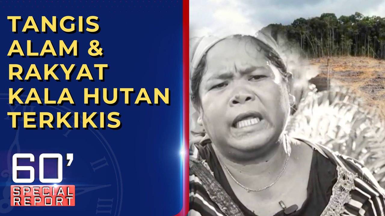 Hutan Terkikis, Alam dan Masyarakat Jadi Korban Krisis Iklim - SPECIAL ...
