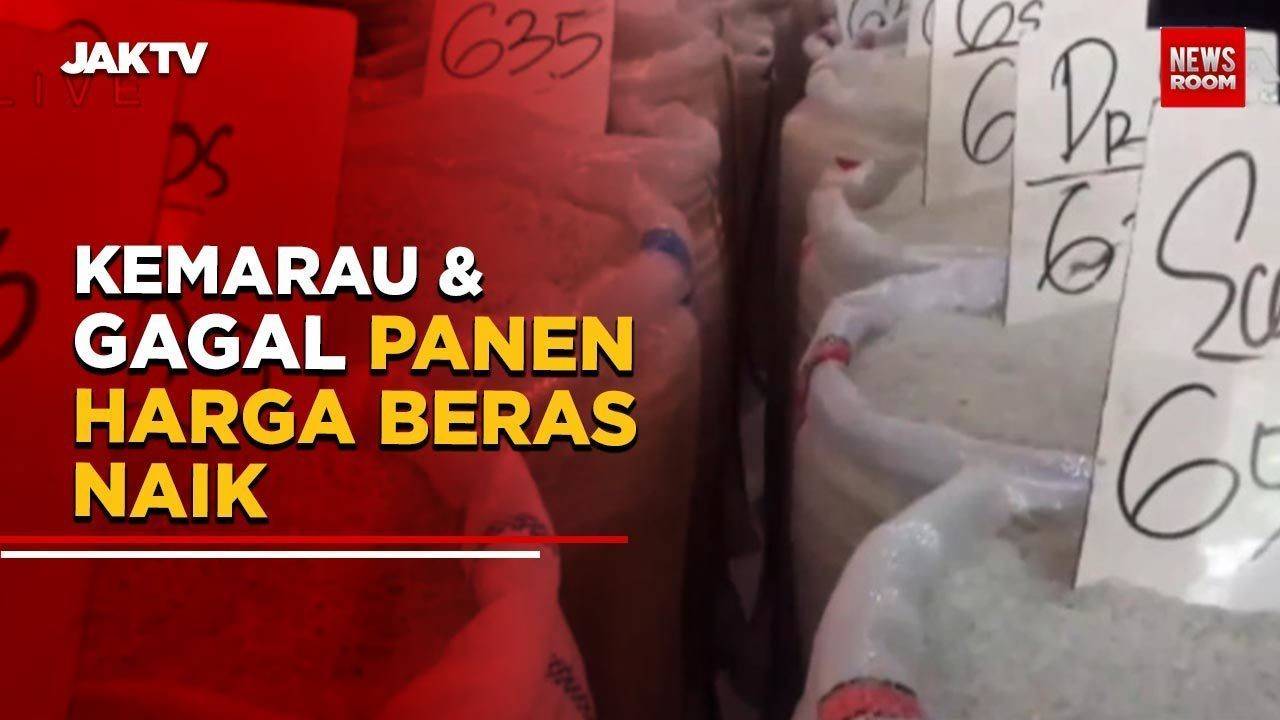 Kemarau & Gagal Panen Harga Beras Naik - jaktv.official | Vidio