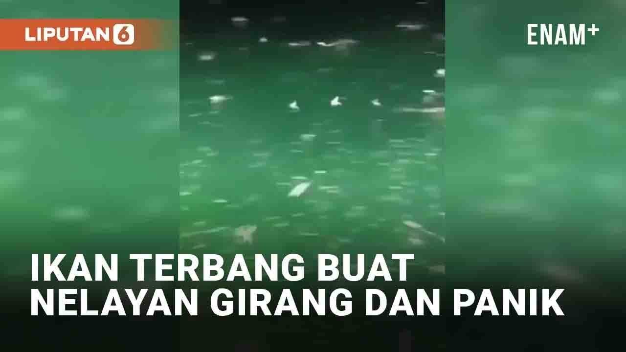 Momen Ribuan Ikan Terbang Buat Nelayan Girang Sekaligus Panik - Liputan6.com | Vidio