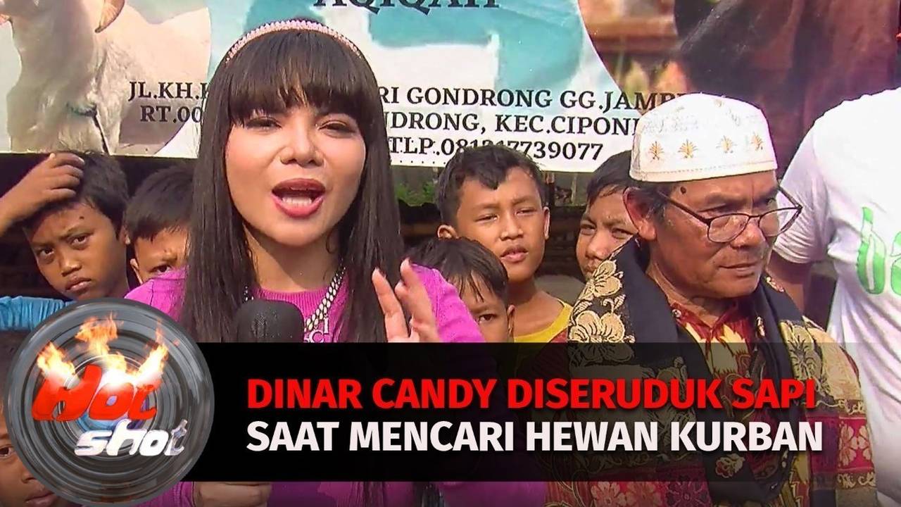 Dinar Candy Diseruduk Sapi Saat Mencari Hewan Kurban | Hot Shot | Vidio