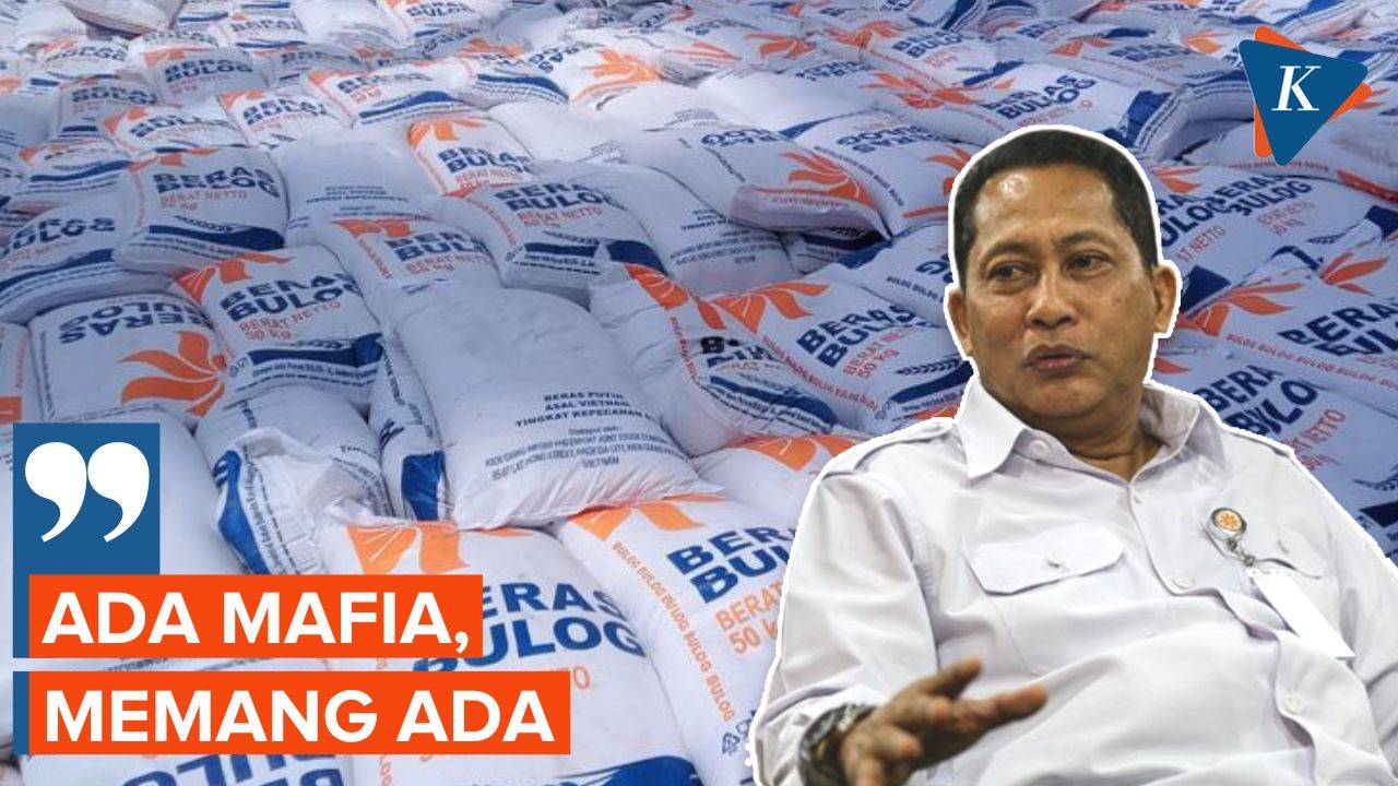Mafia Beras Dinilai Jadi Penyebab Harga Beras Masih Mahal - Kompascom ...