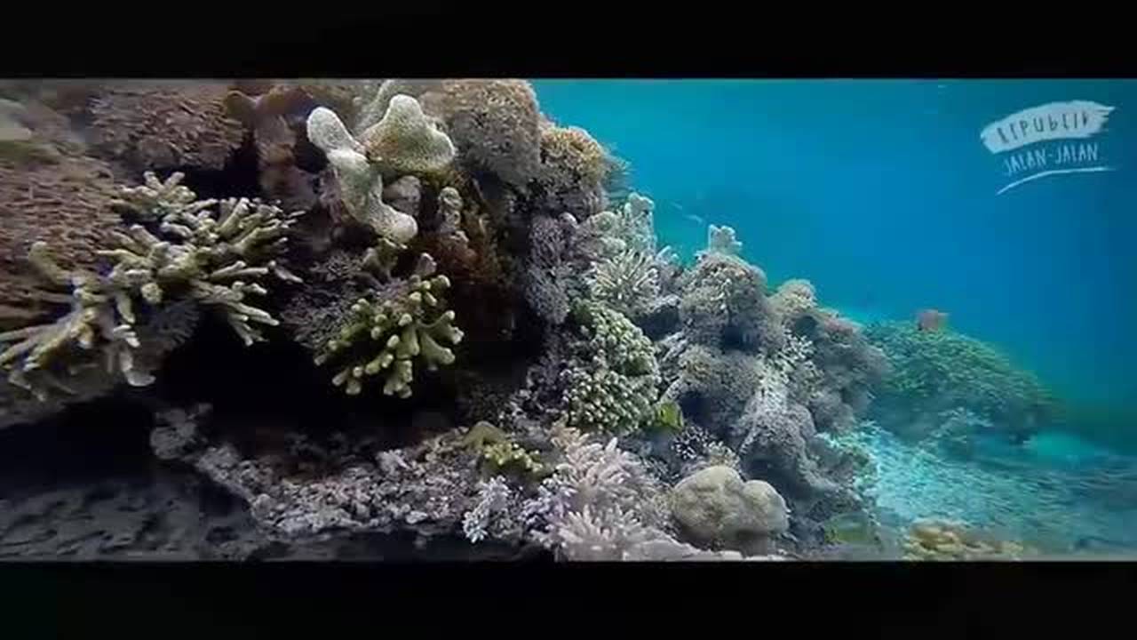 Jalan-jalan Ke Pulau Yeben Raja Ampat | Vidio