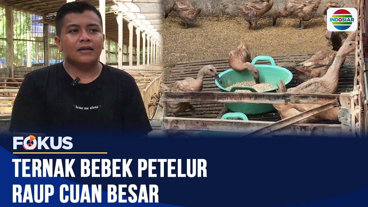 Berani Berubah: Brigadir Agus, Polisi Kulon Progo Raup Jutaan dari ...