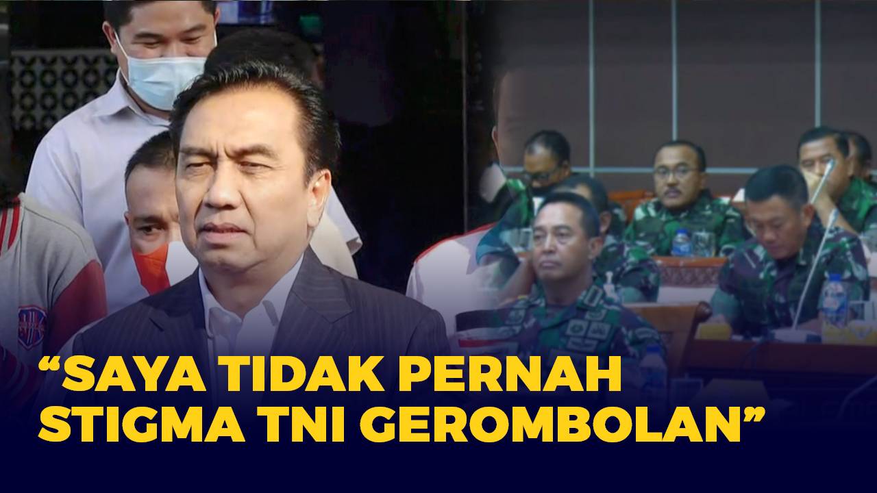 Penjelasan Effendi Simbolon Soal Maksud Pernyataannya yang Sebut TNI ...