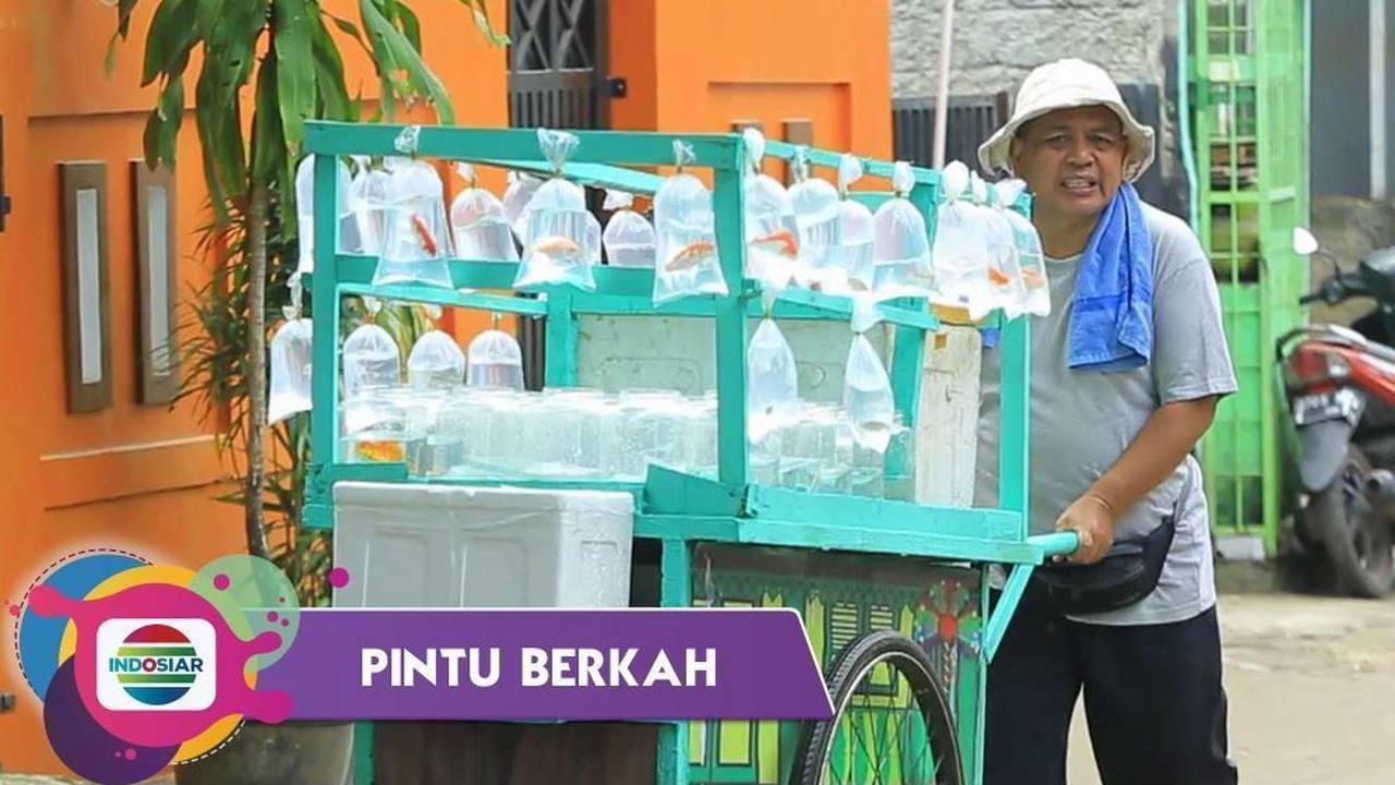 Penjual Ikan Hias Keliling Yang Sukses Menjadi Pengusaha Tambak | Pintu ...