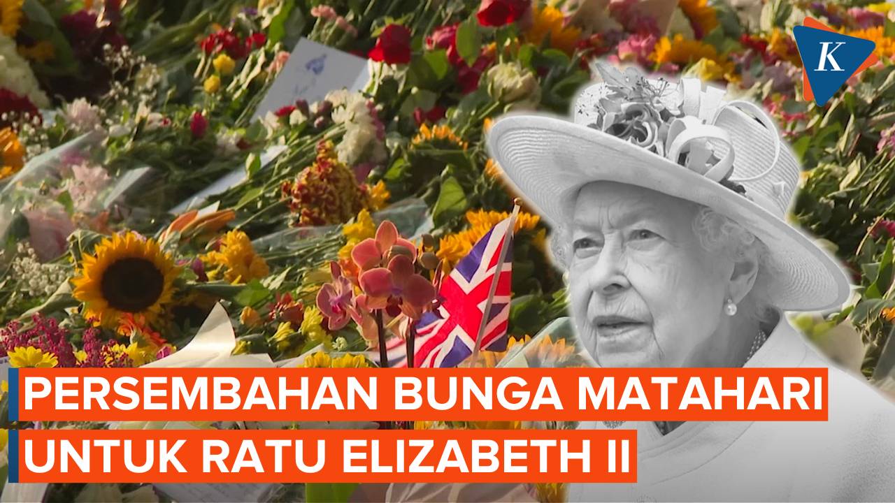Dibalik Persembahan Bunga Matahari untuk Ratu Elizabeth II - Kompascom ...