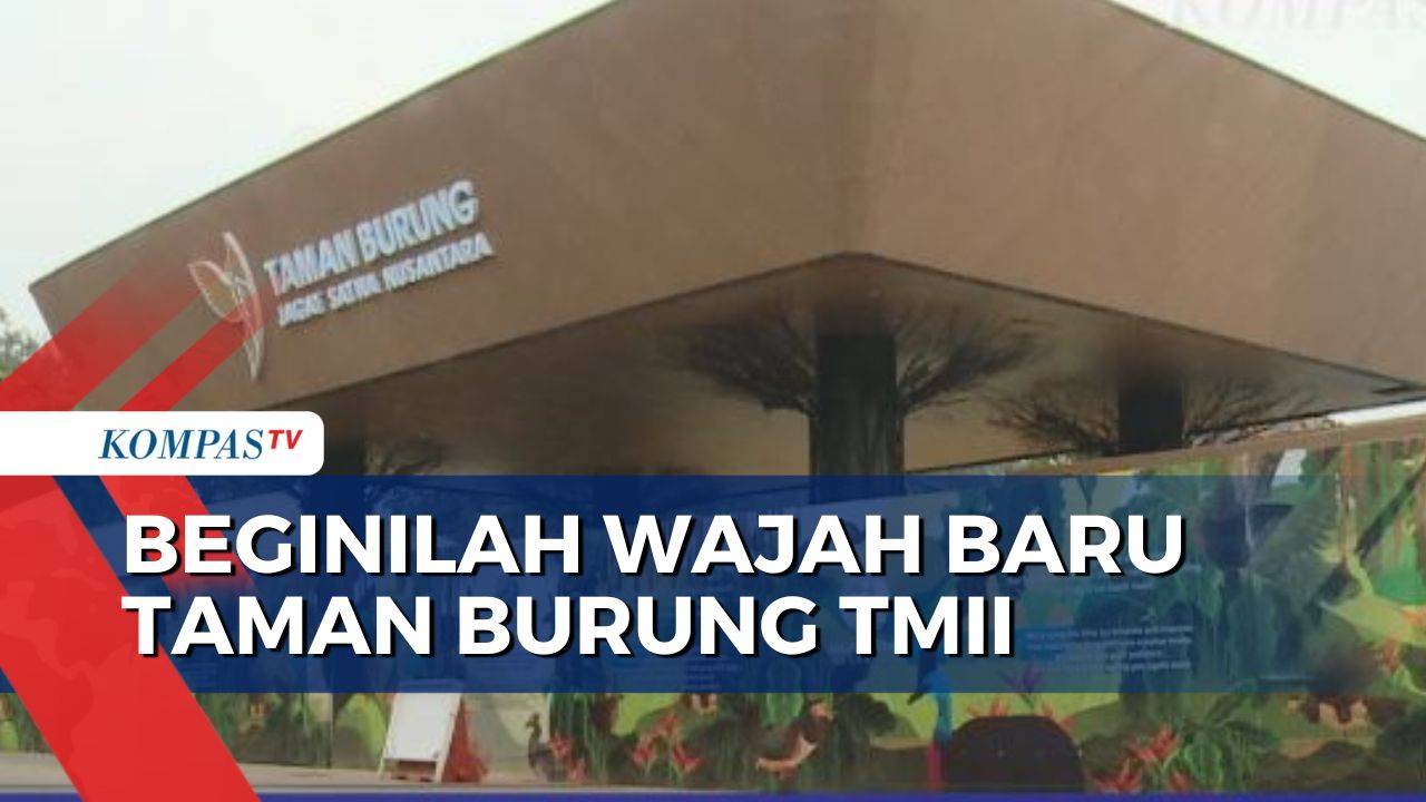 Usai Direvitalisasi, Beginilah Wajah Baru Taman Burung TMII Jagat Satwa ...