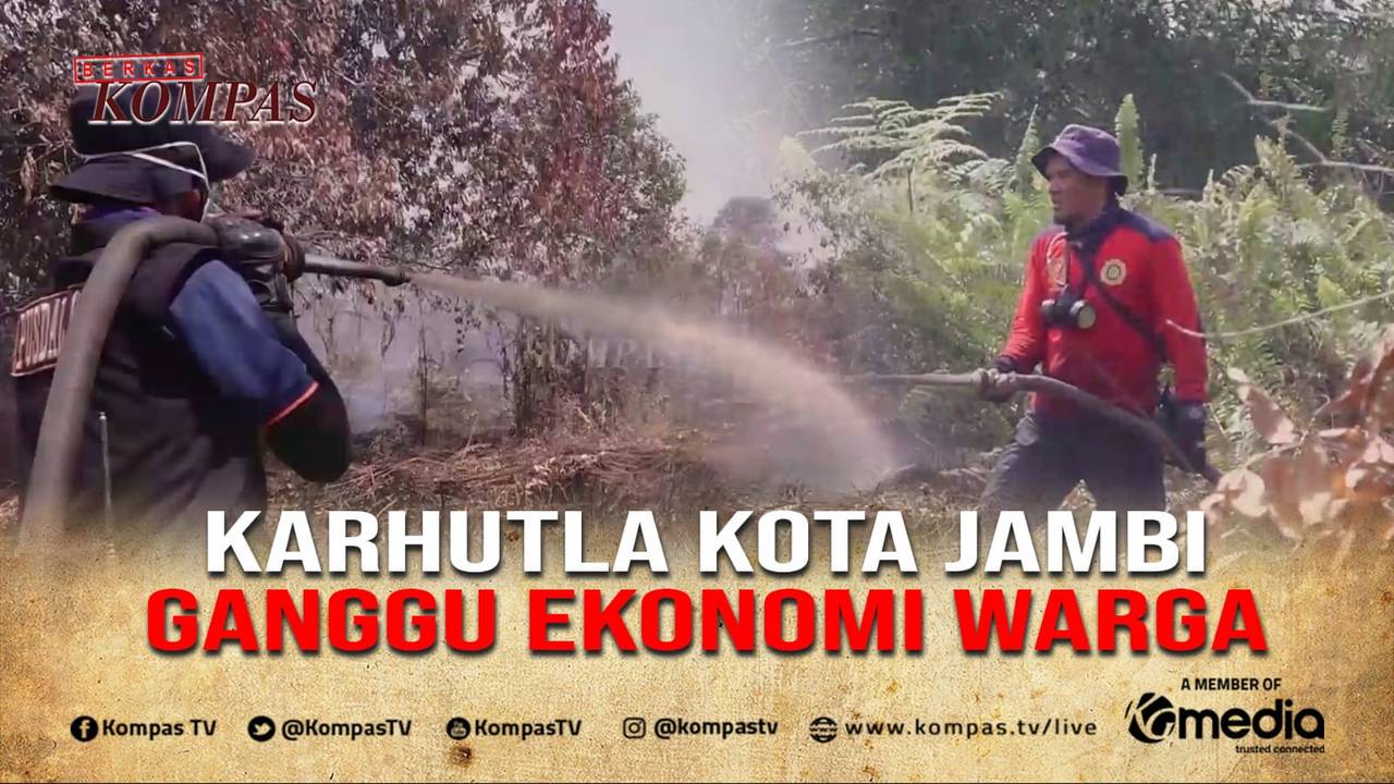 Dampak Karhutla Tahun Ini Menjadi yang Terparah | BERKAS KOMPAS - Kompas TV