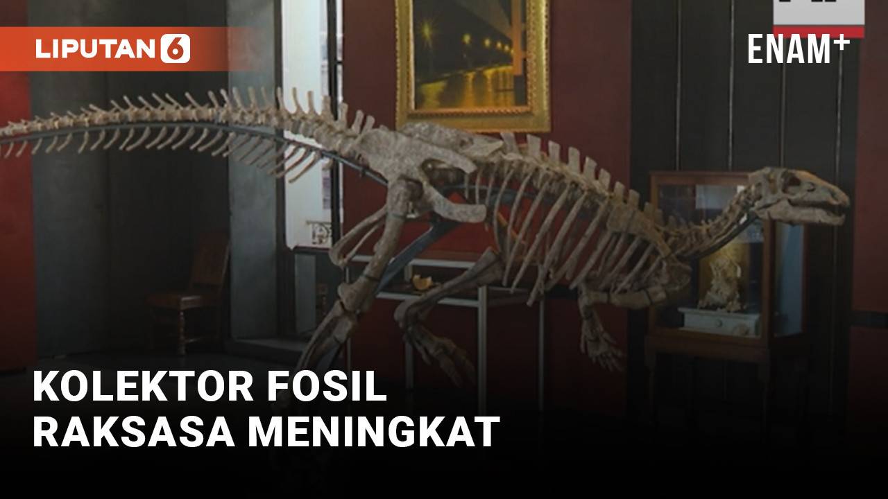 Minat Kolektor Fosil Raksasa Meningkat, Dinosaurus Usia 150 Juta Tahun ...