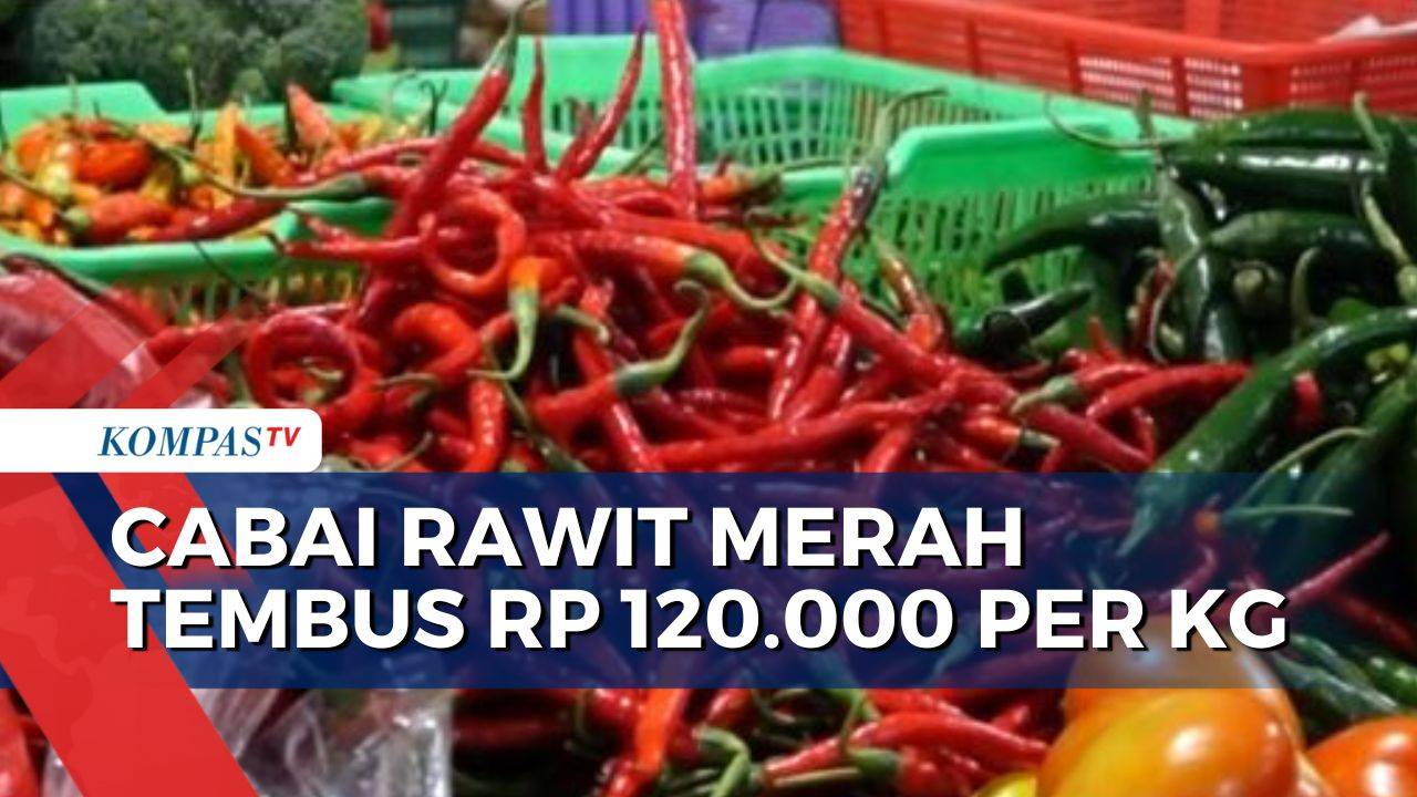 Harga Cabai Rawit di Sejumlah Daerah Merangkak Naik, Tembus Angka Rp 120 Ribu per Kilogram ...