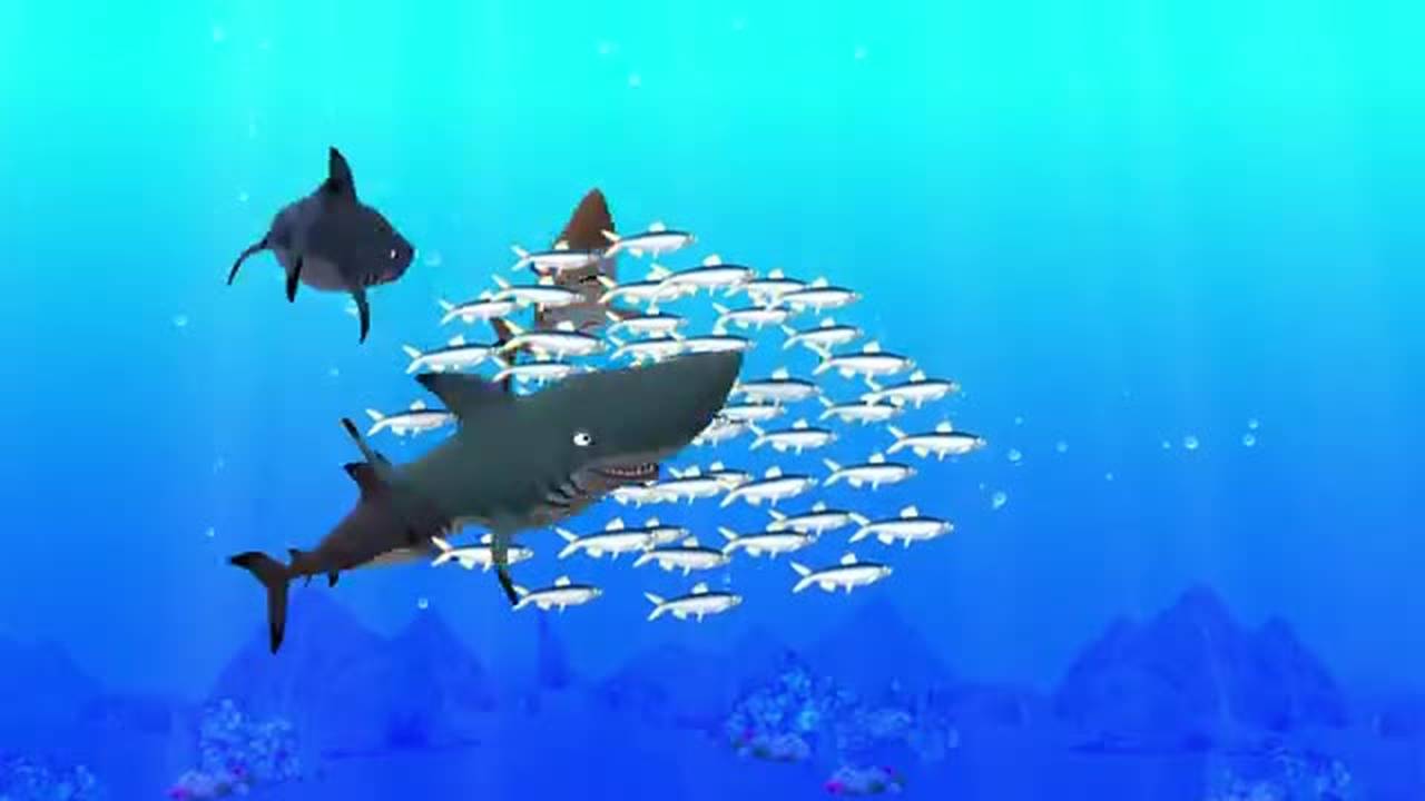Tayo Shark Song - Ep 04 - Blacktip Shark (2022) | Vidio