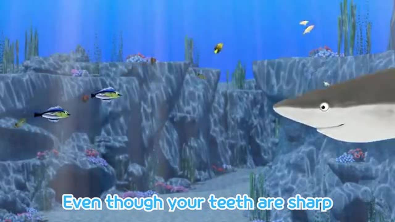 Tayo Shark Song - Ep 02 - Gray Reef Shark (2022) | Vidio