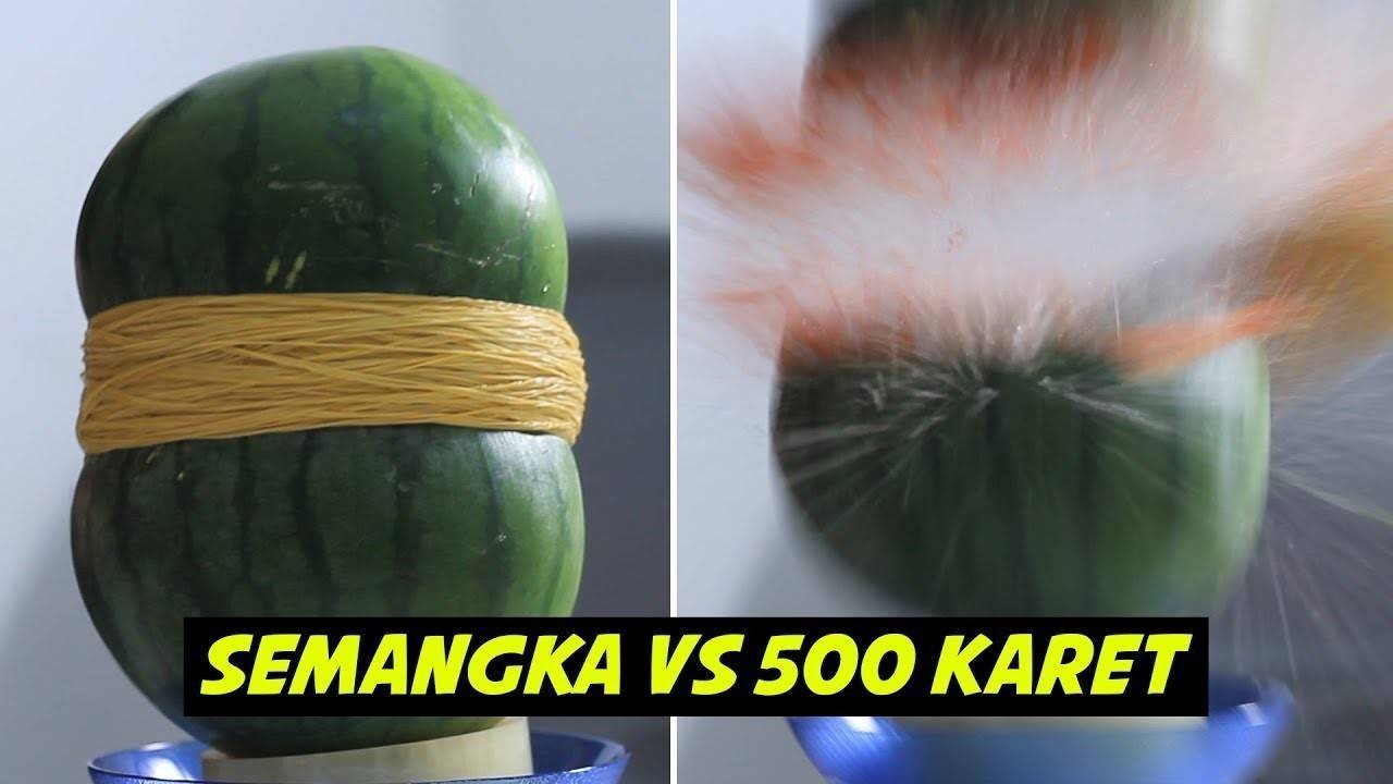 Belah Semangka Pake Karet [eksperimen] | Vidio