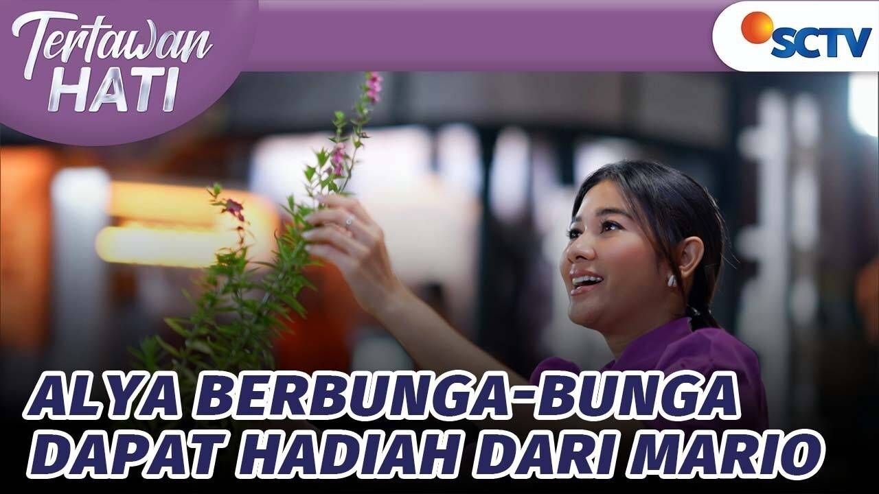 [Gratis] Tertawan Hati - Alya Berbunga bunga! Terima Hadiah Spesial ...