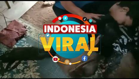 Indonesia Viral (Episode Lengkap & Terbaru) | Vidio