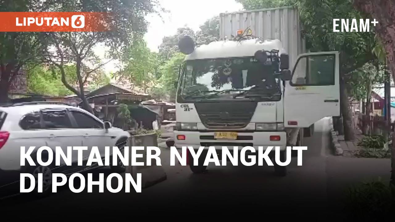 Ikuti Google Maps, Truk Kontainer Nyangkut di Pohon - liputan6.com | Vidio