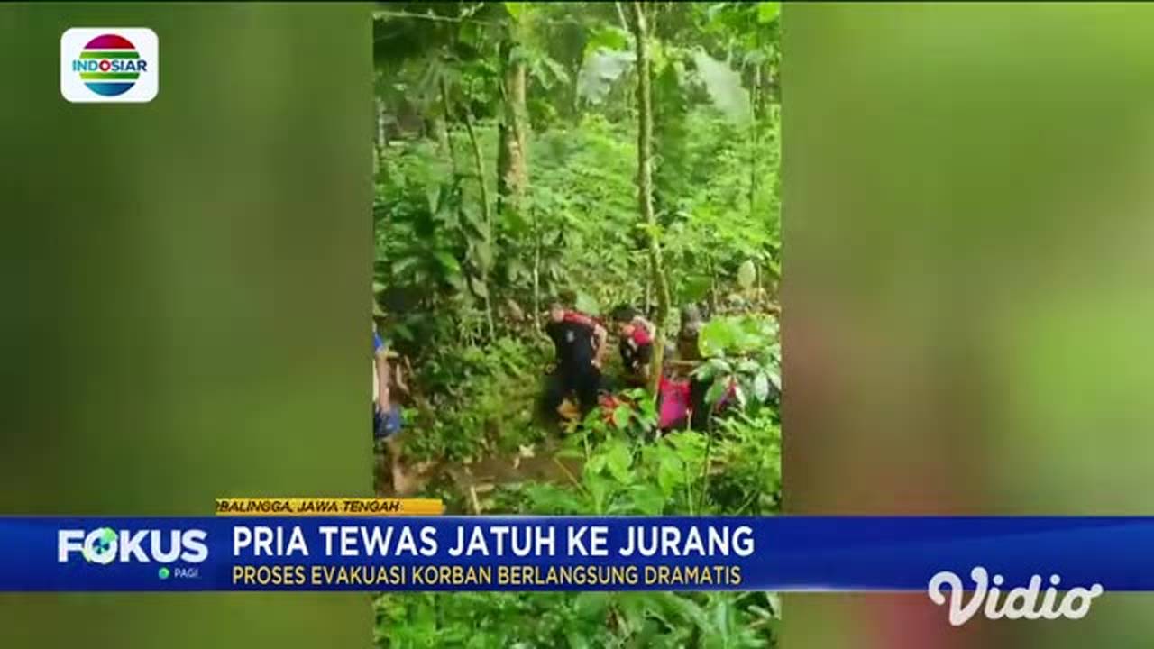 Pria Tewas Jatuh Ke Jurang - Indosiar Regional