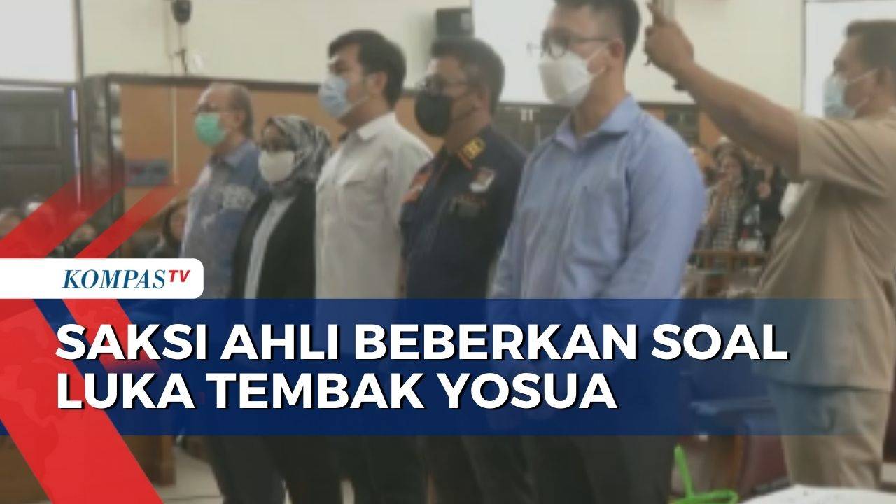 Sejumlah Saksi Ahli Beberkan Soal Luka Tembak Yosua Hingga Pelecehan ...