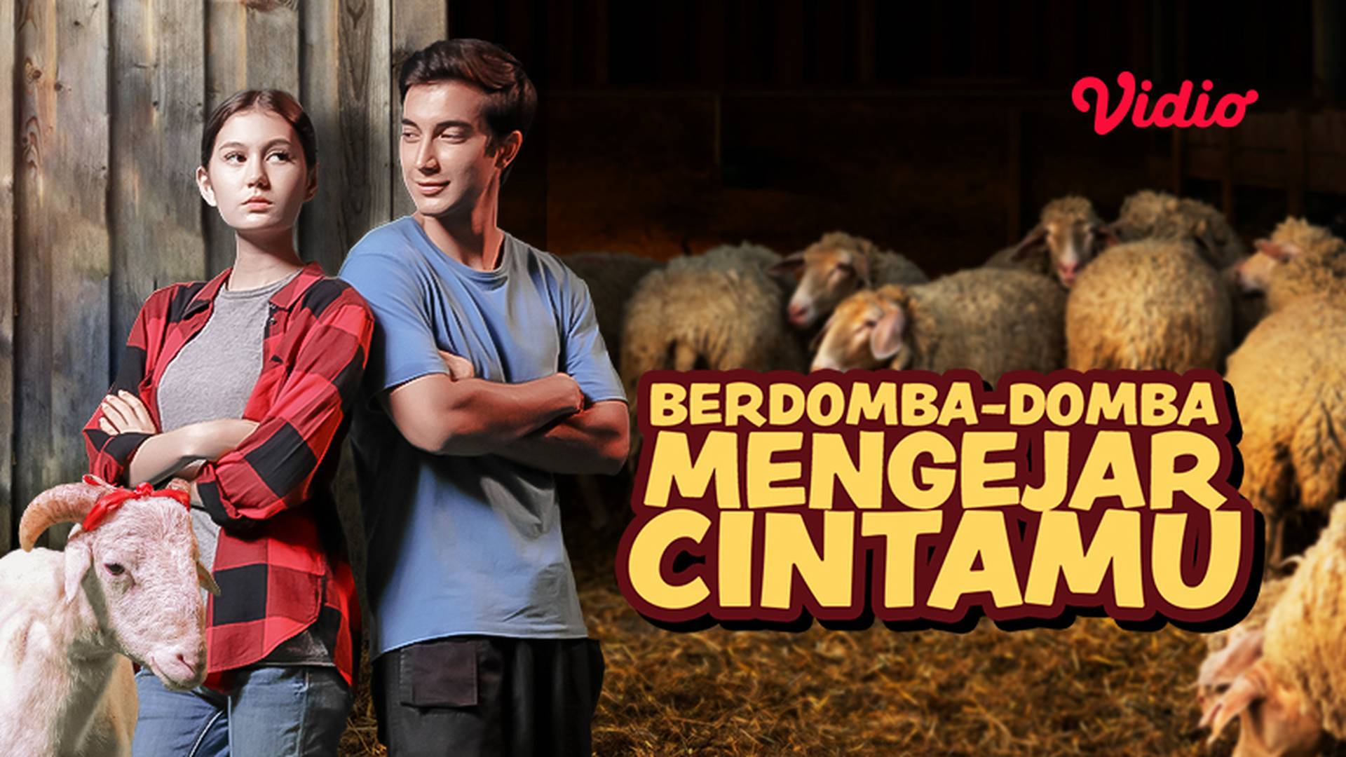 Streaming Berdomba-domba Mengejar Cintamu