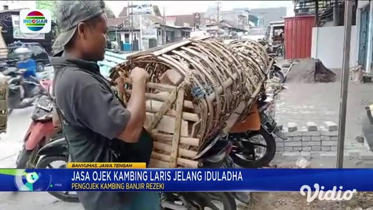 Jasa Ojek Kambing Jelang Idul adha di Pasar Hewan,Bayumas - Indosiar ...