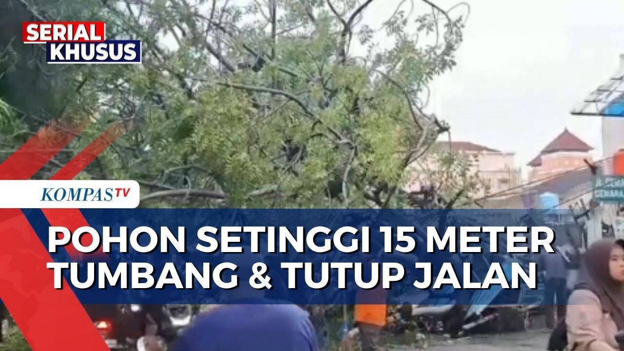 Angin Kencang, Pohon Setinggi 15 Meter di Cengkareng Tumbang Timpa ...
