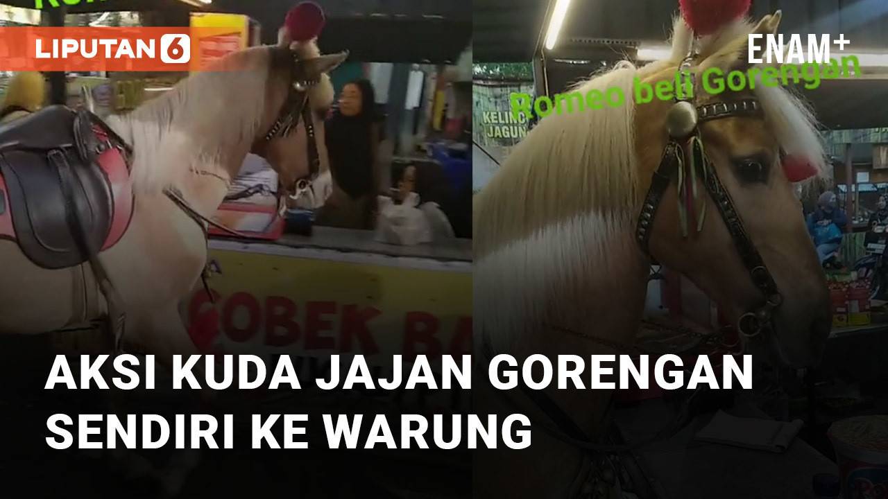 Kocak, Aksi Kuda Jajan Gorengan Ramai Dikomentari Netizen - liputan6.com