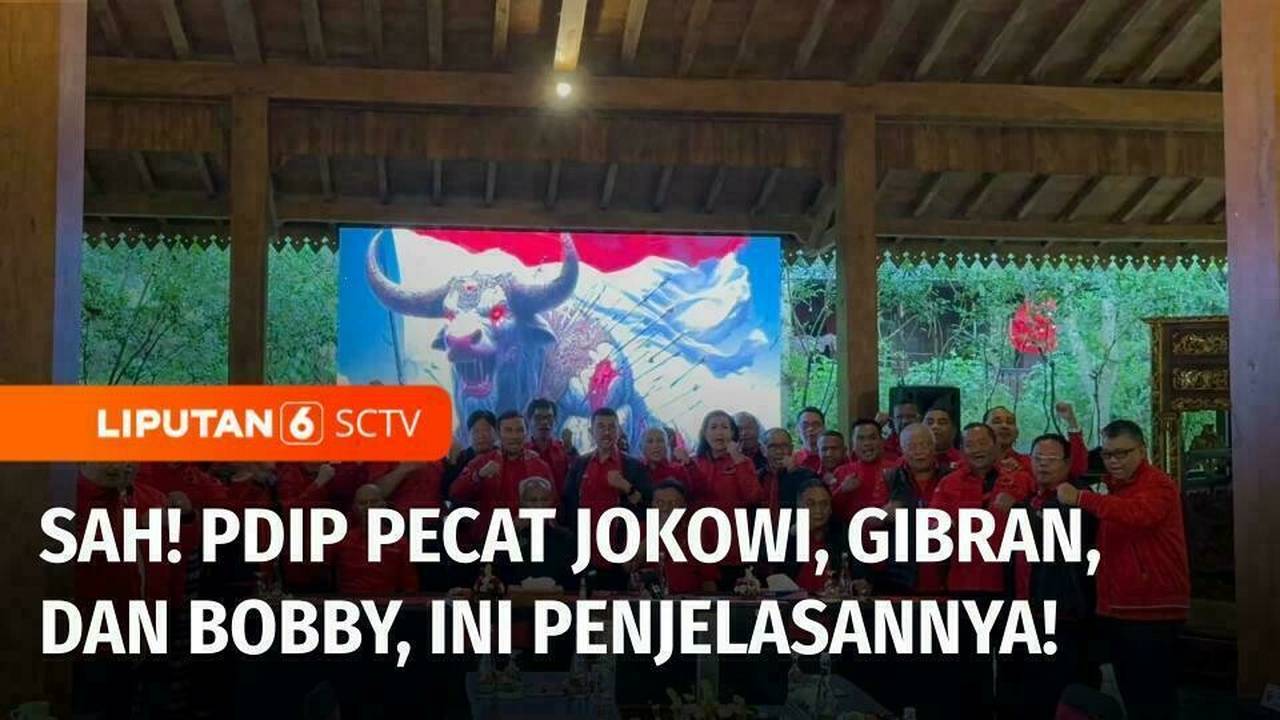 PDIP Resmi Pecat Jokowi, Gibran, dan Bobby! Apa Alasan Dibalik Keputusan Ini? | Liputan 6 - SCTV ...