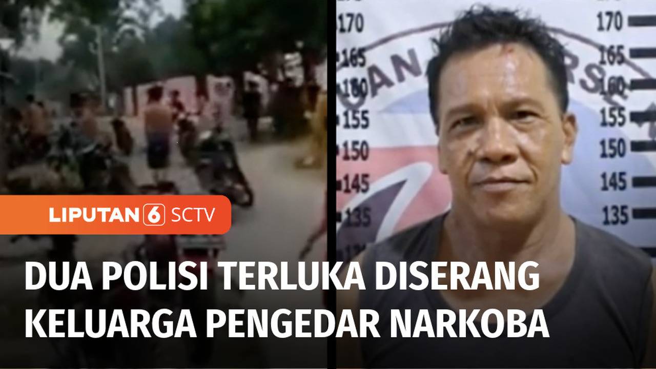 Tangkap Pengedar Narkoba Rombongan Polisi Dilempari Batu Dan Kayu Di