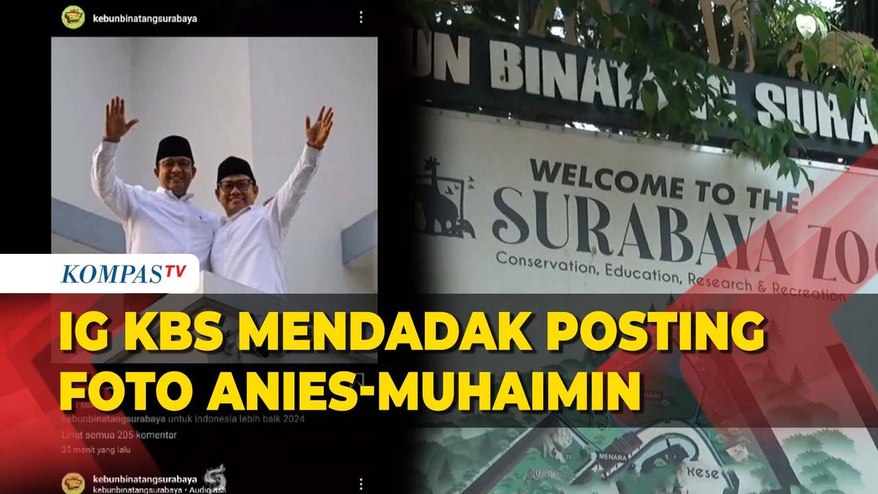 Akun IG Kebun Binatang Surabaya Diretas, Mendadak Posting Foto Anies ...