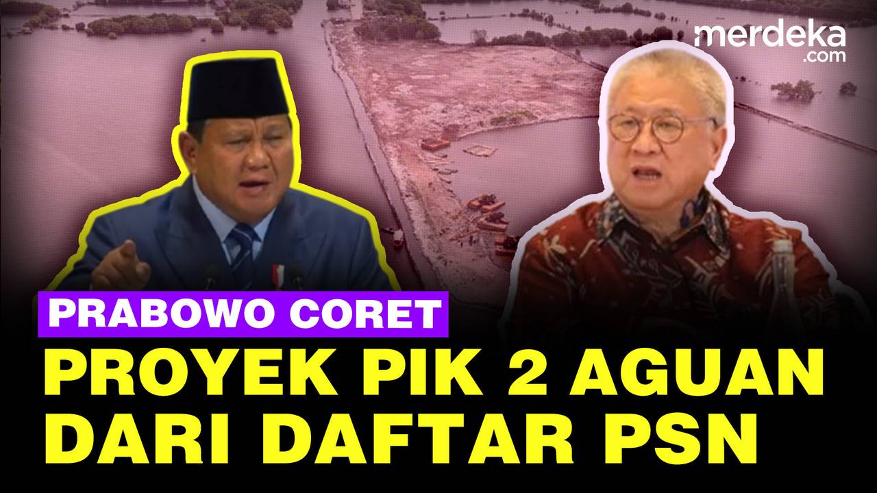 Prabowo Coret Proyek PIK 2 Milik Aguan dari PSN yang Ditetapkan di Era ...