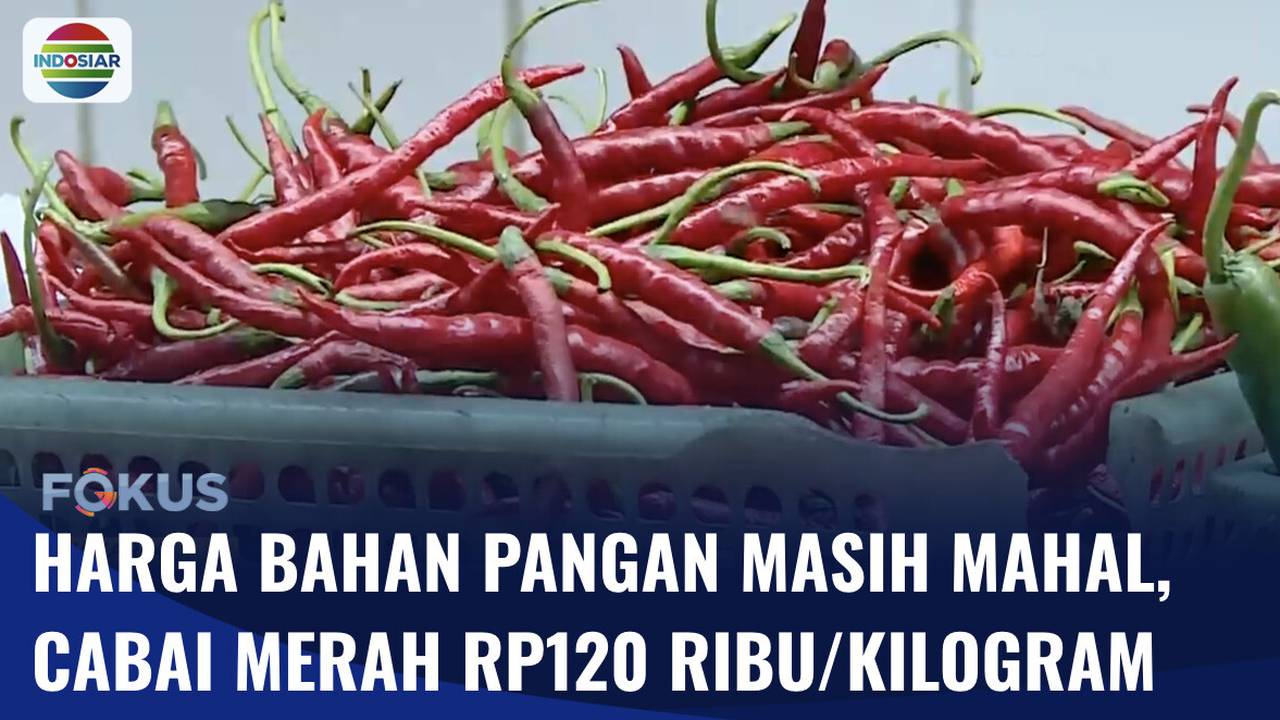Harga Cabai Rawit Merah di Pasar Santa Tembus Rp120 Ribu per Kilogram | Fokus - INDOSIAR | Vidio