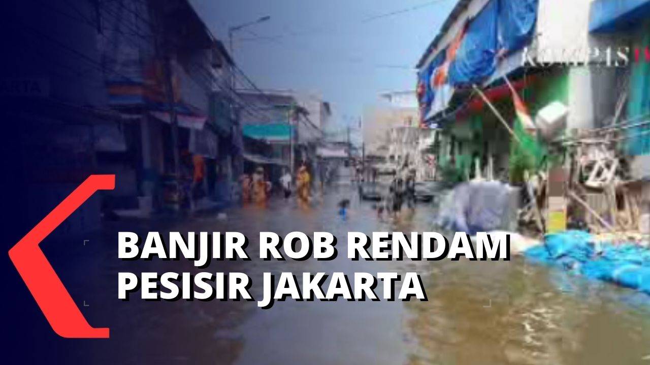 Banjir Rob Di Pesisir Jakarta Bpbd Dan Bmkg Sudah Beri Peringatan Dini