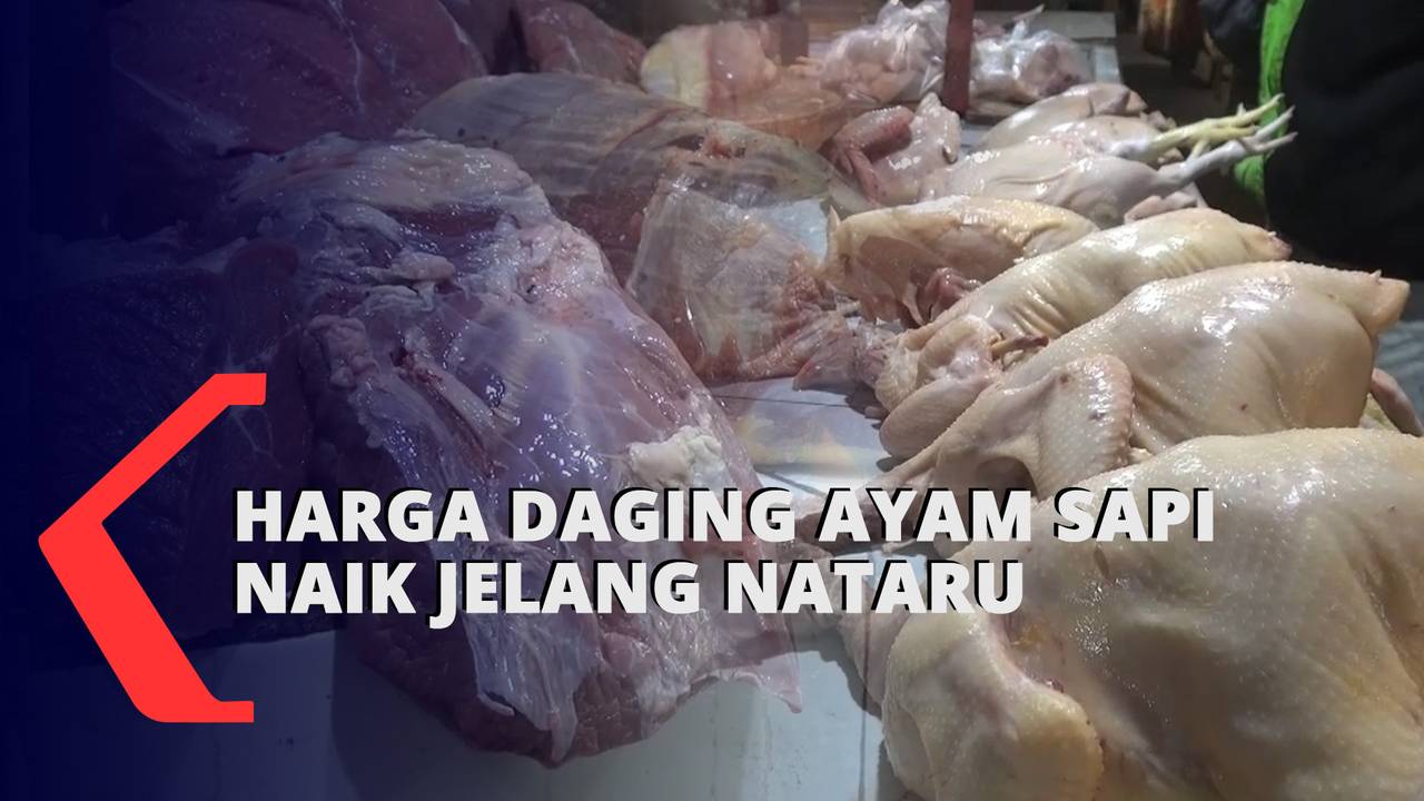 Jelang Natal dan Tahun Baru, Harga Daging Ayam dan Sapi di Pasar Naik - Kompas TV | Vidio