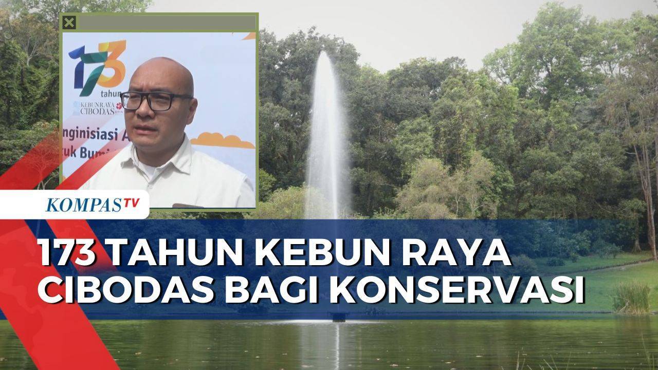Perayaan 173 Tahun Kebun Raya Cibodas di Cianjur, Lestarikan Tumbuhan ...