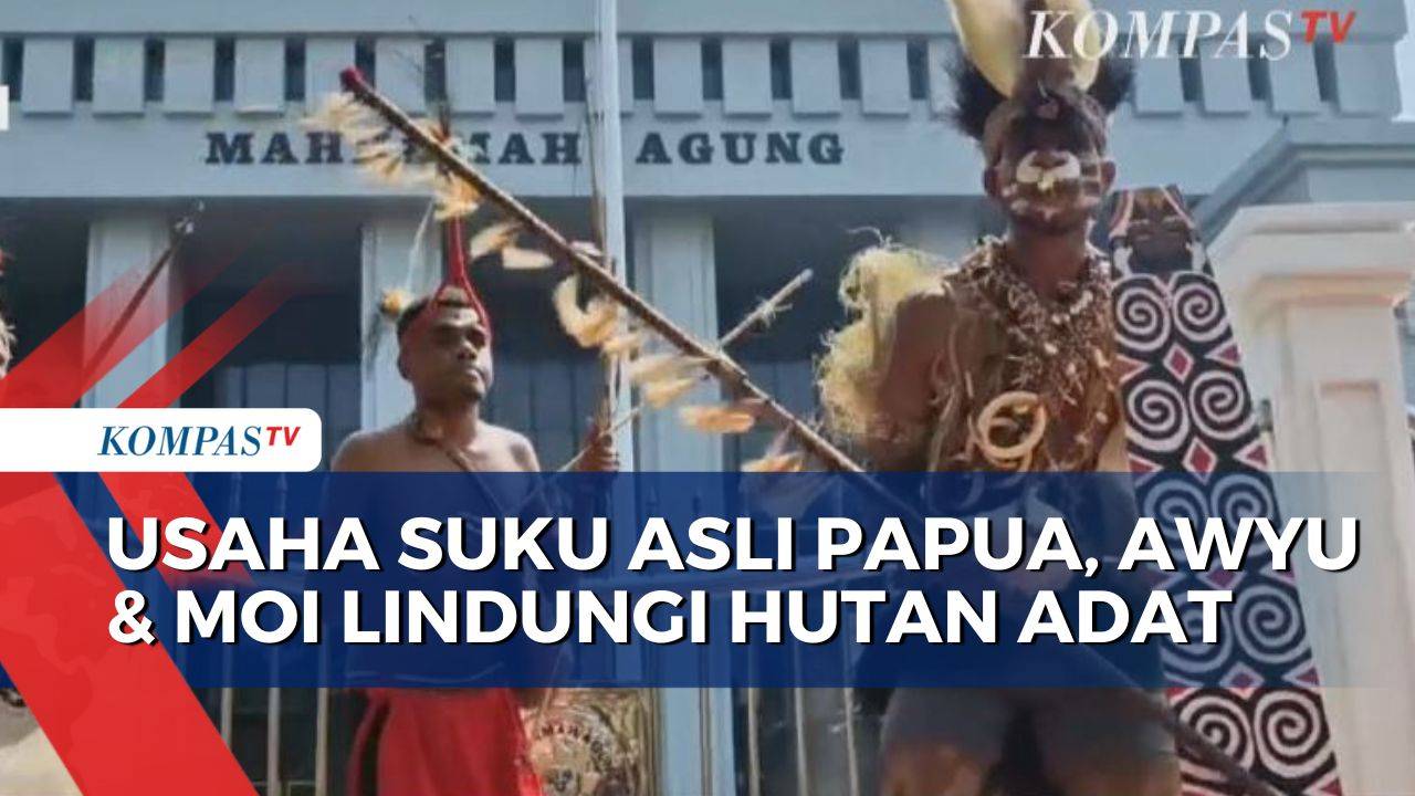 Suku Awyu dan Moi Ngadu ke MA, Tolak Perusakan Hutan Adat Dijadikan ...