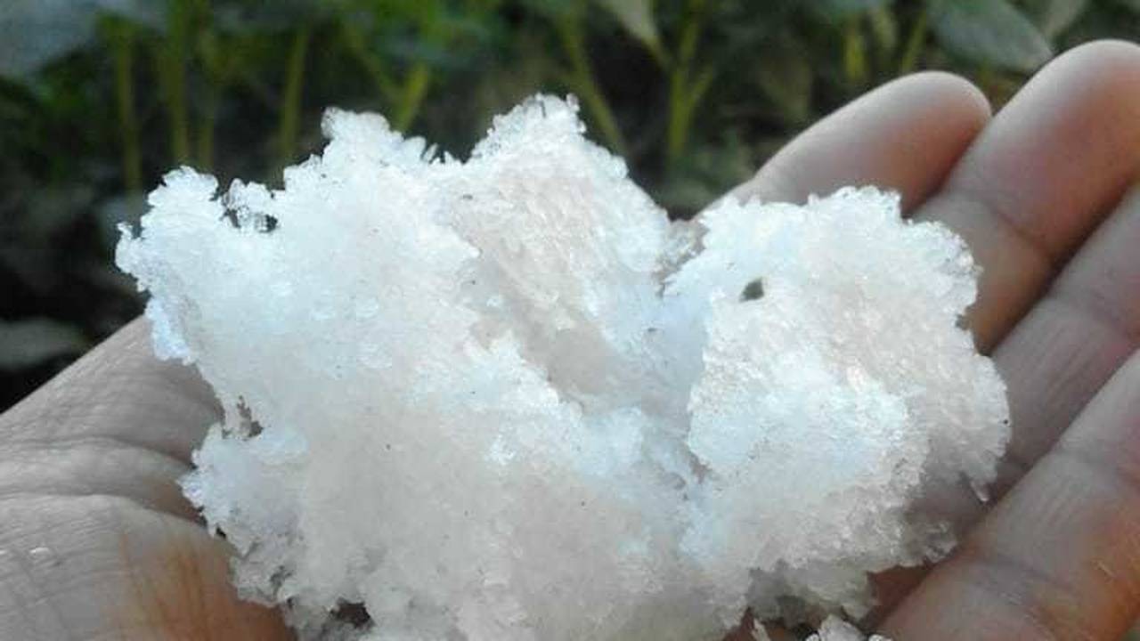 Begini Daya Rusak Embun Es ke Tanaman Kentang Petani Dieng - bungridlo ...